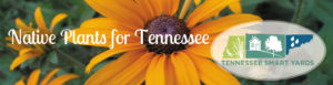Tennessee Smart Yards | Tennessee Smart Yards