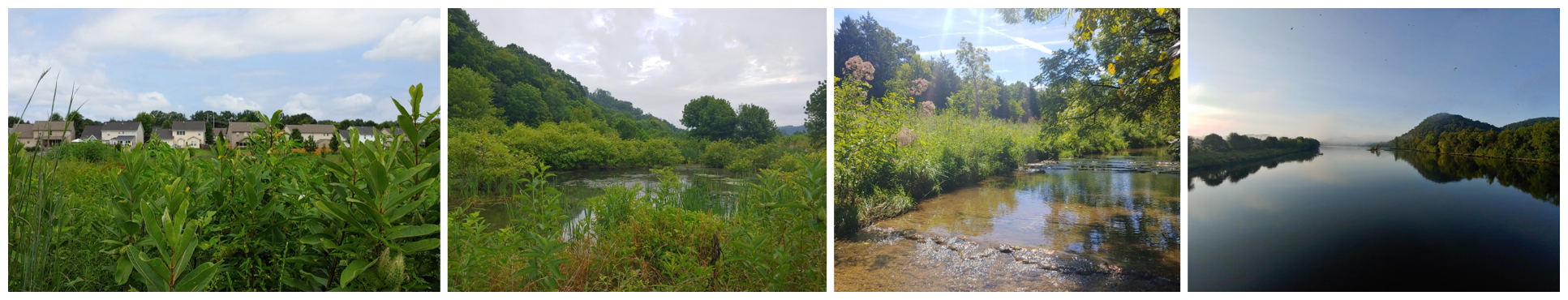 What is a watershed? | Tennessee Smart Yards