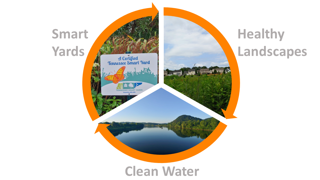 Path To Certification | Tennessee Smart Yards
