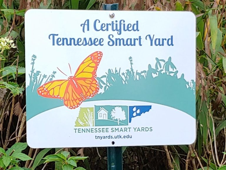 Path To Certification | Tennessee Smart Yards