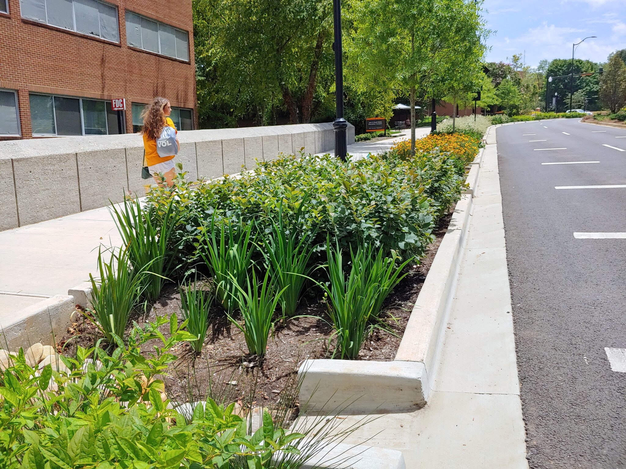 Smart Yards for Campus Communities | Tennessee Smart Yards