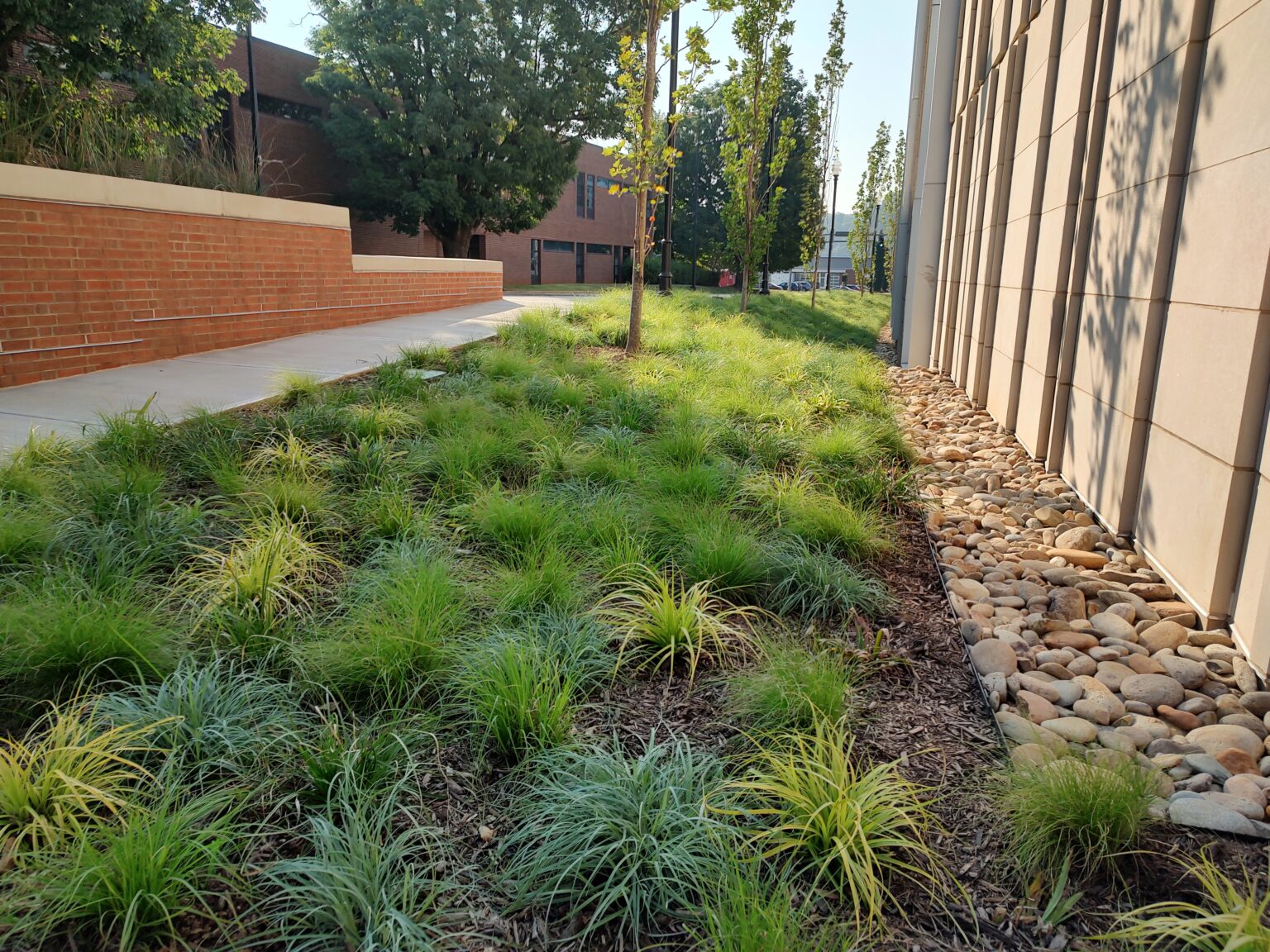 Smart Yards for Campus Communities | Tennessee Smart Yards