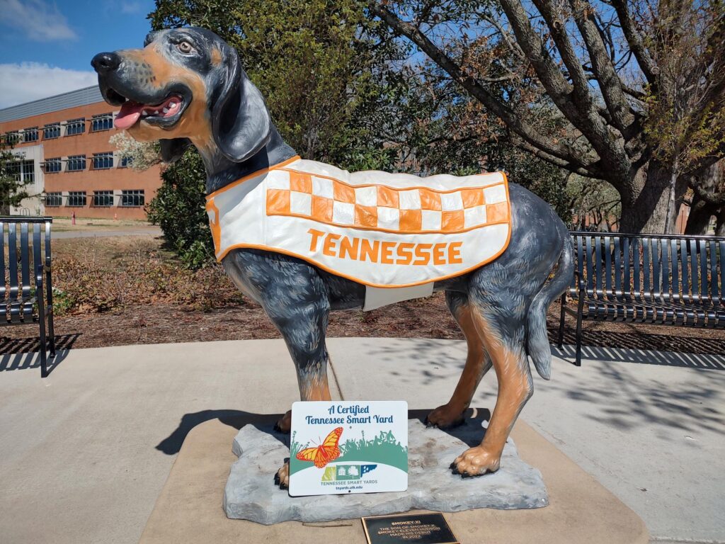 Smart Yards for Campus Communities | Tennessee Smart Yards